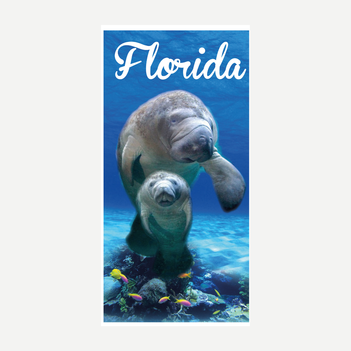 Manatee Florida Beach Towel – Towels World